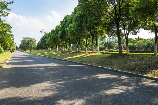Free Stock Photo of Two lane city streets | Download Free Images and ...