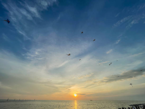 Free picture: reflection, kites