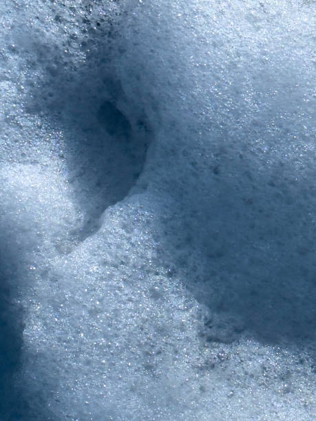 Free foam stock photos. Download the best free foam images at Freerange ...