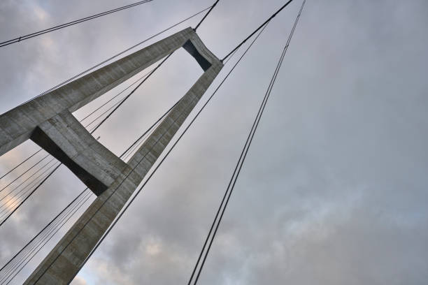 Free Stock Photo of Sweeping cables of a modern suspension bridge ...