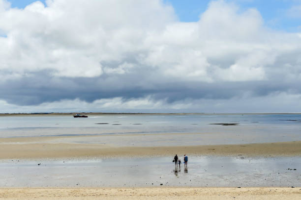 Free Stock Photo of Group of People Walking Across Beach Under Cloudy ...