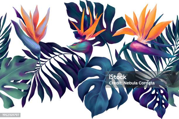 Ilustración de Borde Horizontal Sin Costuras Con Flores De Strelitzia ... Ilustración de Borde Horizontal Sin Costuras Con Flores De Strelitzia ...