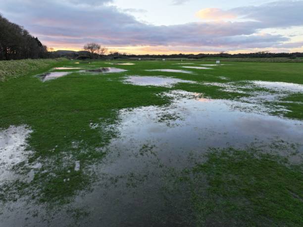 Free picture: Landscape photo of a flooded field, grass and trees in autumn