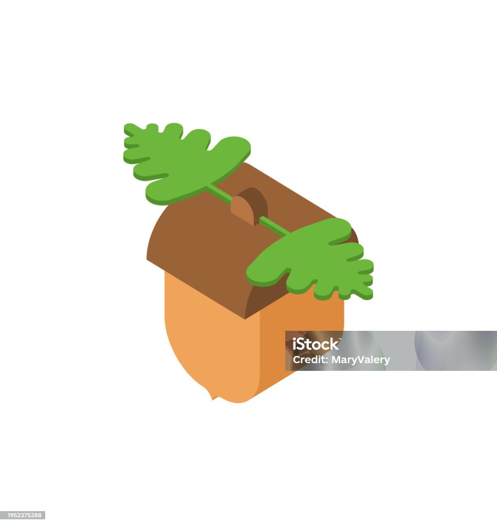 Acorn Isometric Isolated Fruit Of The Oak Tree Stock Illustration ... Acorn Isometric Isolated Fruit Of The Oak Tree Stock Illustration ...