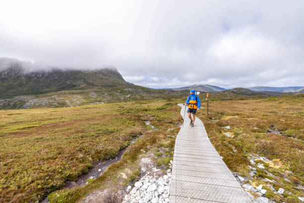 Free pure wilderness stock photos. Download the best free pure ...