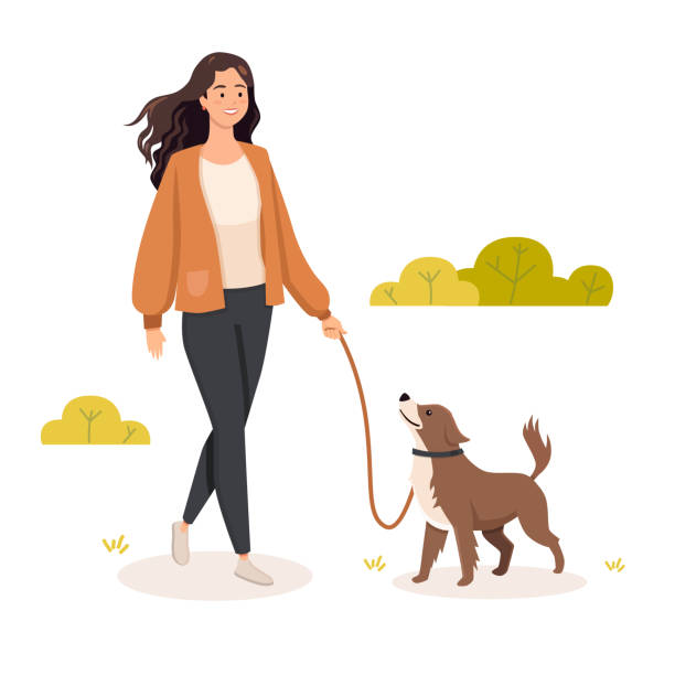 27700 Paseando Al Perro Ilustraciones De Stock Gráficos Vectoriales