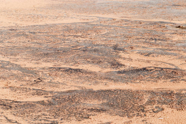 Free picture: Texture of sand and mud from a flowing mud on the beach