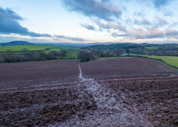 Free Stock Photo of Muddy Road in a Field | Download Free Images and ...