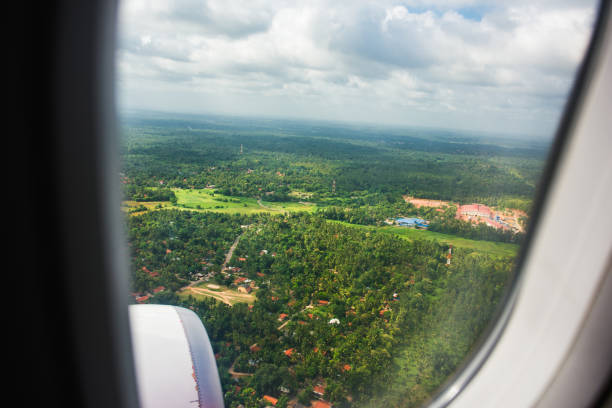 Free Stock Photo of Window Overlooking Forest | Download Free Images ...