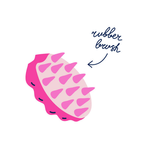 50 Scalp Massage Brush Stock Illustrations Royalty Free Vector