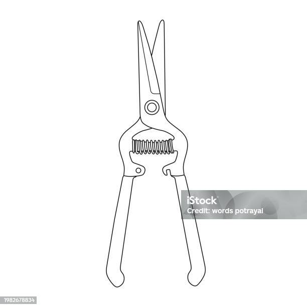 Tangan Digambar Anakanak Menggambar Kartun Vektor Ilustrasi Anggur ... Tangan Digambar Anakanak Menggambar Kartun Vektor Ilustrasi Anggur ...