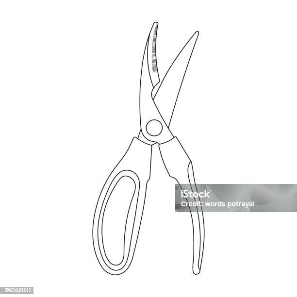 Tangan Digambar Anakanak Menggambar Kartun Vektor Ilustrasi Unggas ... Tangan Digambar Anakanak Menggambar Kartun Vektor Ilustrasi Unggas ...
