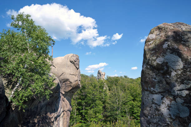 Free Stock Photo of Large Rock Formation With Trees | Download Free ...