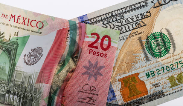 Free picture: banknote, dollar, United States of America, paper money ...