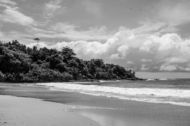 Free beachscape stock photos. Download the best free beachscape images ...