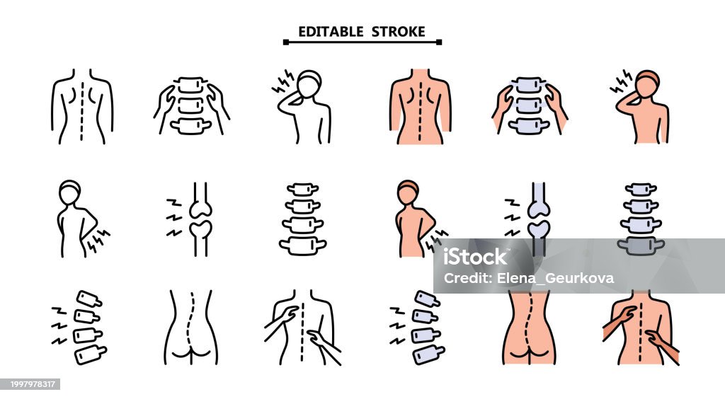 Chiropractic Line Icon Set Editable Stroke Chiropractor Icons Set Stock
