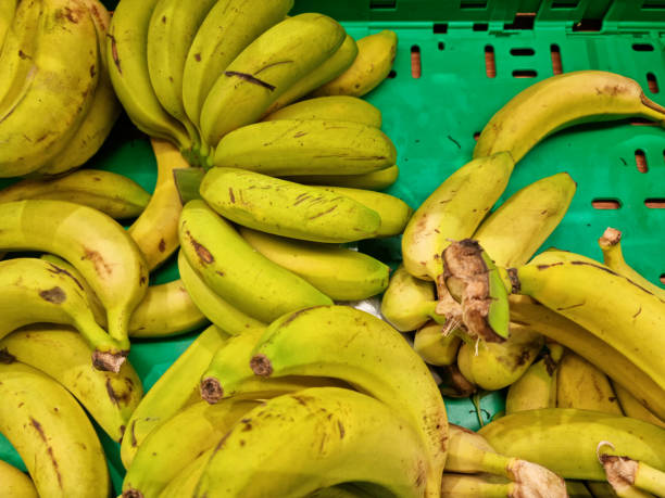 Free Stock Photo of Stack of Green Bananas | Download Free Images and ...