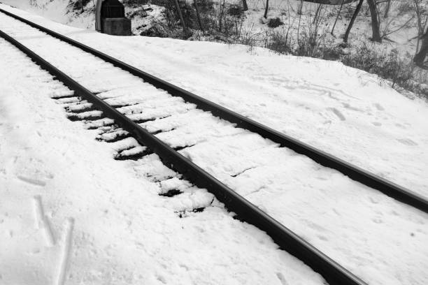 Free Stock Photo of Train curving on snowy tracks perspective ...