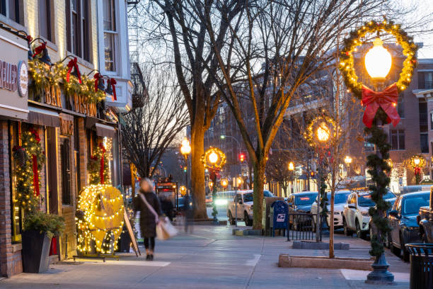 Free Stock Photo of Street Lined With Christmas Lights-Covered Trees ...