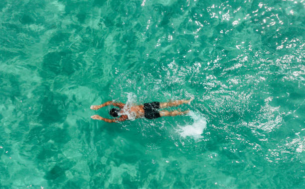 Free Stock Photo of Top View of People Swimming in Sea | Download Free ...