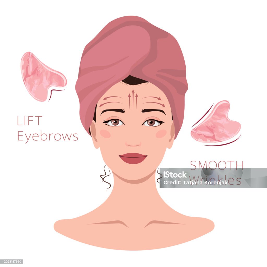 Facial Massage Lines Direction Scheme Stock Illustration Download