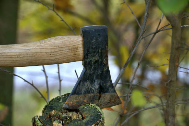 Free Stock Photo of Red-handled axe embedded in wooden stump | Download ...