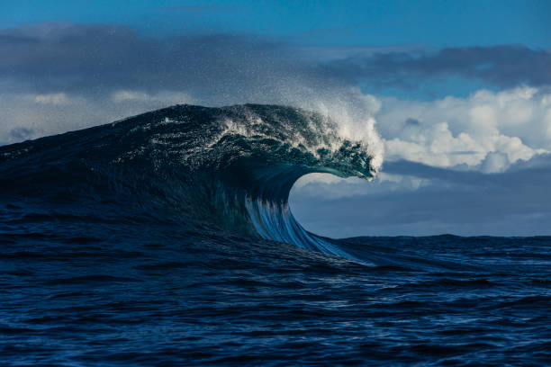 Free Stock Photo of Big wave | Download Free Images and Free Illustrations