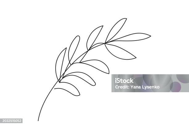 Dessin Continu Dune Ligne De Branche Avec Des Feuilles Dessin Au Trait