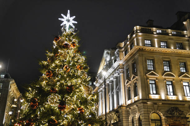 Free Stock Photo of Large Christmas Tree in Front of Building ...