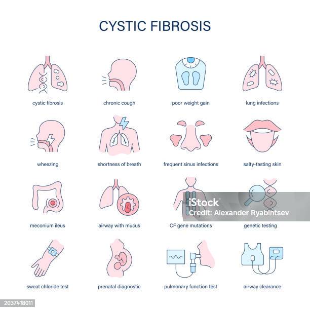 Cystic Fibrosis Symptoms Diagnostic And Treatment Vector Icons Medical