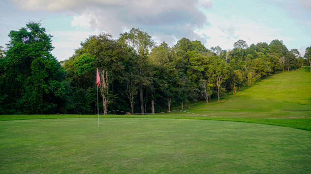 Free Stock Photo of Green Golf Course With Trees in Background ...