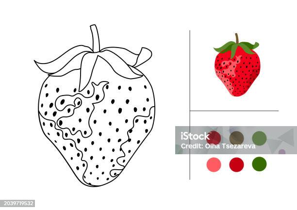 Ilustración De Fresa Para Libro Para Colorear Dibujo De Diseño De Arte