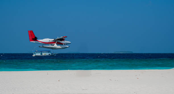 Free Stock Photo of Blue and Yellow Jet Flying Over Sandy Beach ...