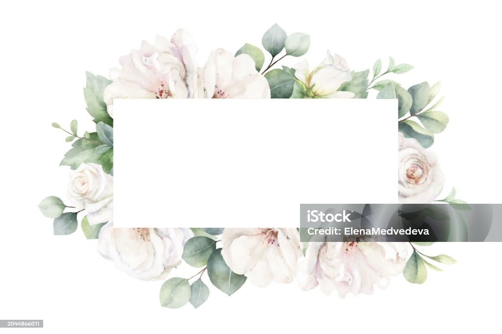 White Roses And Eucalyptus Branches Watercolor Vector Rectangular ... White Roses And Eucalyptus Branches Watercolor Vector Rectangular ...