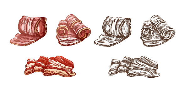 Set Sketsa Vektor Berwarna Dan Monokrom Yang Digambar Tangan Dari Bacon