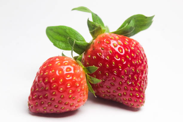 Free Stock Photo of Two Berries and a Strawberry on a White Background ...