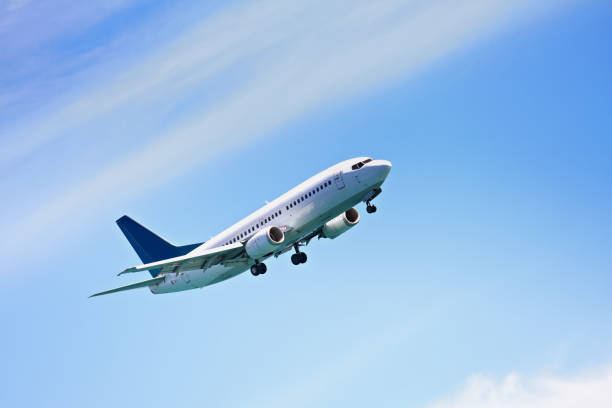 Free midflight stock photos. Download the best free midflight images at ...