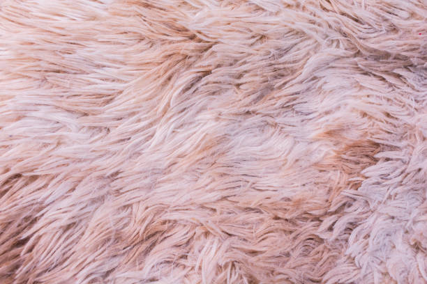 Free Stock Photo of Swirly fluffy carpet texture | Download Free Images ...