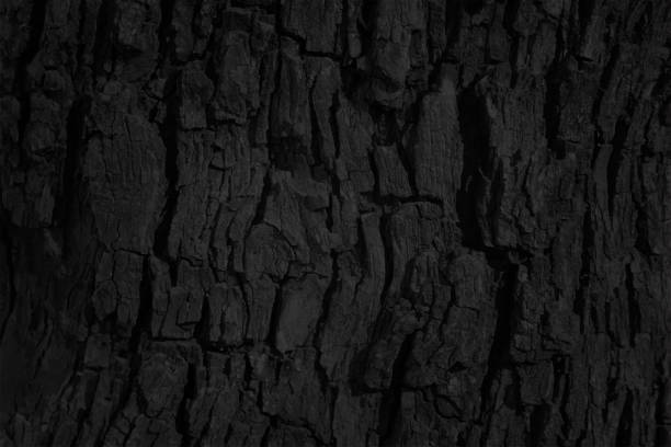 Explore 129+ Free Coal Illustrations: Download Now - Pixabay