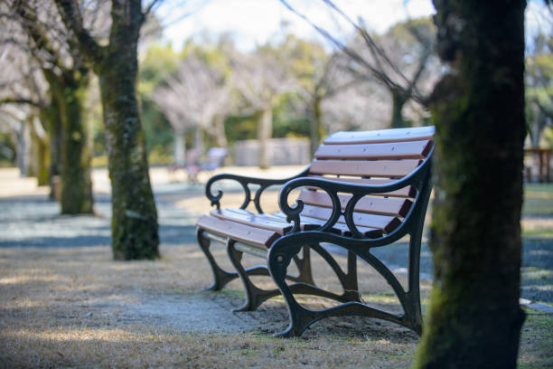 Free Stock Photo of Park Bench in Shade of Tree | Download Free Images ...