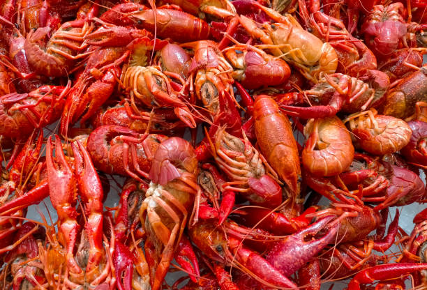 80+ Free Crawfish & Crayfish Images - Pixabay