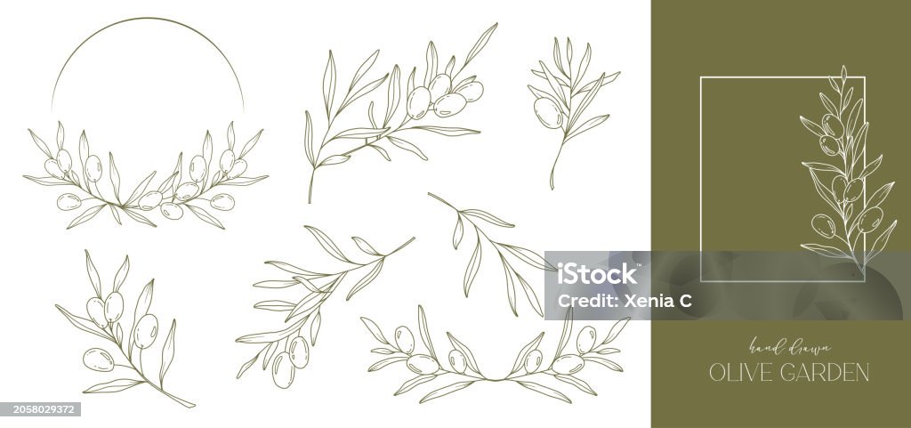 Dessin Au Trait Dolives Cadre Dolive Noir Et Blanc Couronne Dolivier
