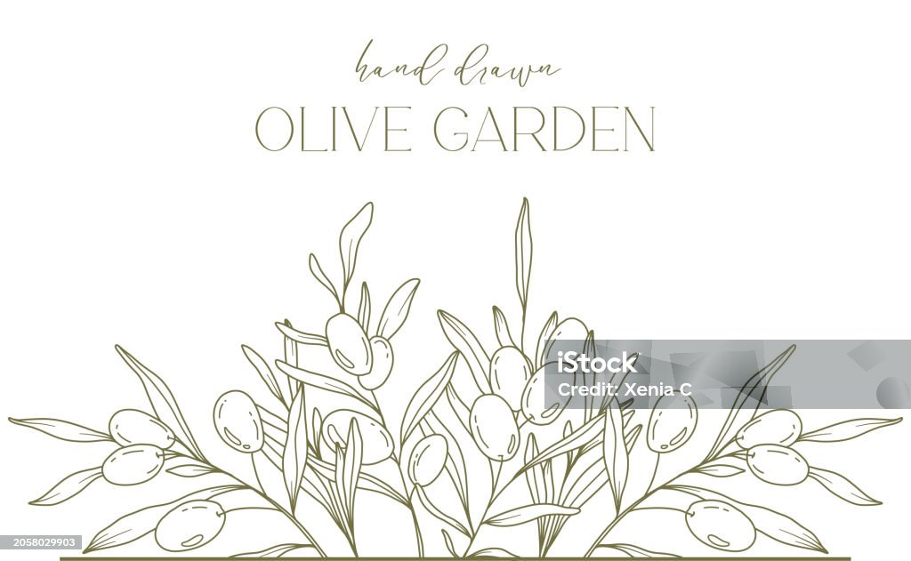 Dessin Au Trait Dolives Cadre Dolive Noir Et Blanc Couronne Dolivier