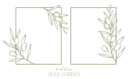 Dessin Au Trait Dolives Cadre Dolive Noir Et Blanc Couronne Dolivier