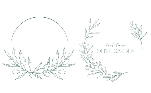 Dessin Au Trait Dolives Cadre Dolive Noir Et Blanc Couronne Dolivier