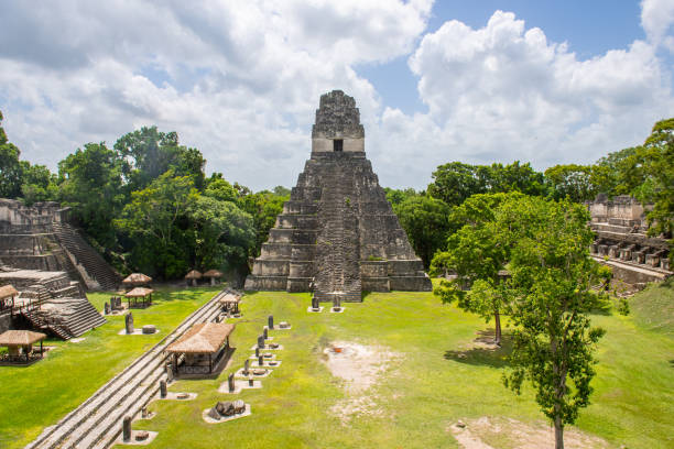 Free Stock Photo of Mayan ruins in the forest | Download Free Images ...