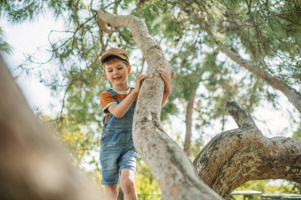 Free Stock Photo of Little Boy with Blonde Hair Holding Tree Branch ...
