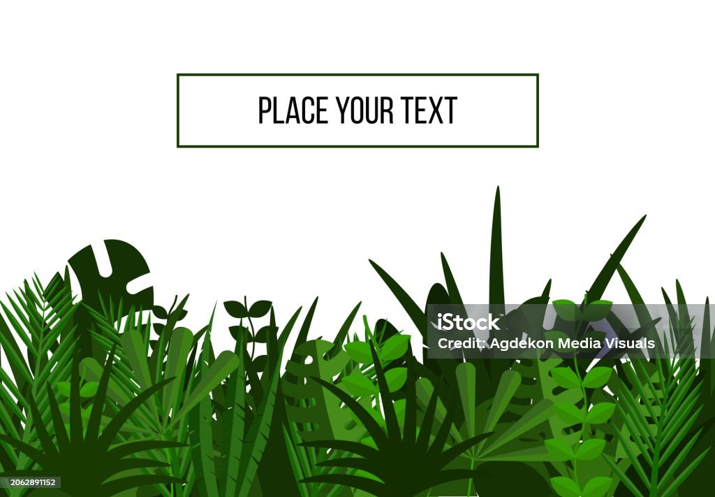 Dense Jungle Grass Background Flat Stock Illustration Download Image Now Art Backgrounds