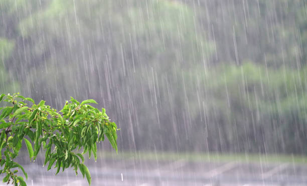 Rain Images: 10,000+ Free High-Quality Photos, Wallpapers, and ...