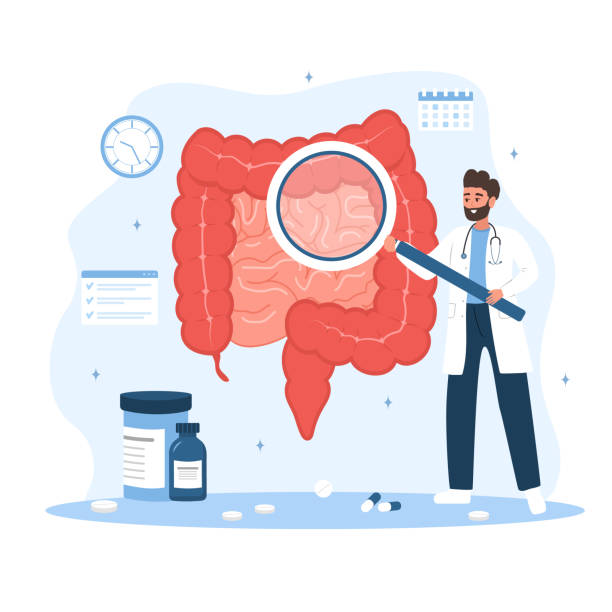 150개 이상의 항문과 의사 스톡 일러스트 Royalty Free 벡터 그래픽 및 클립 아트 Istock